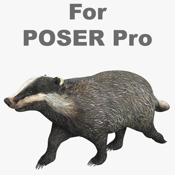 Free 3D Poser Models | TurboSquid