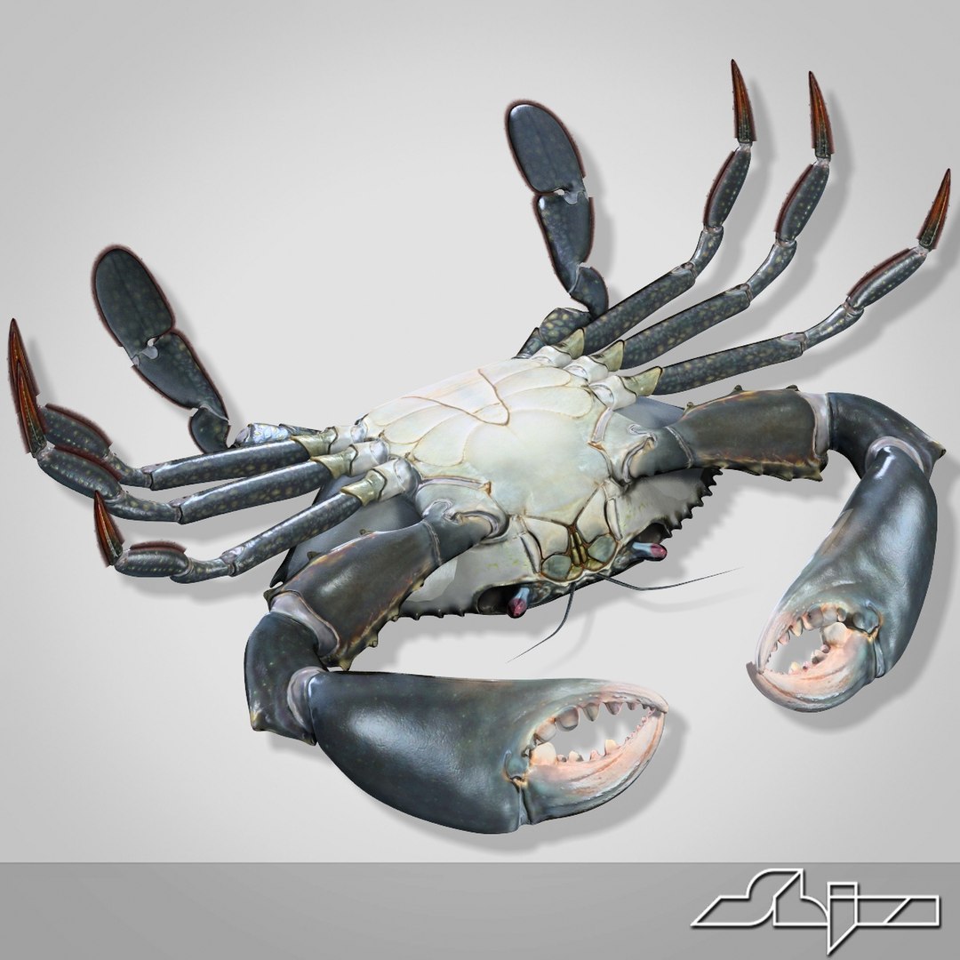 3ds Max Crab Modeled
