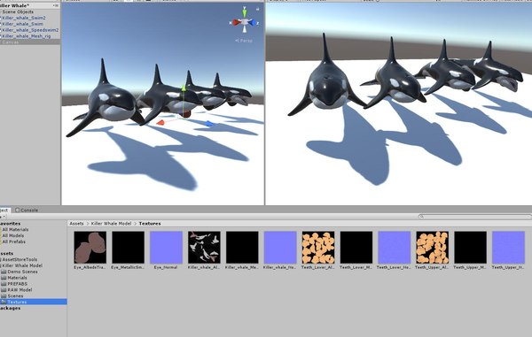 3D killer whale unity model - TurboSquid 1508053