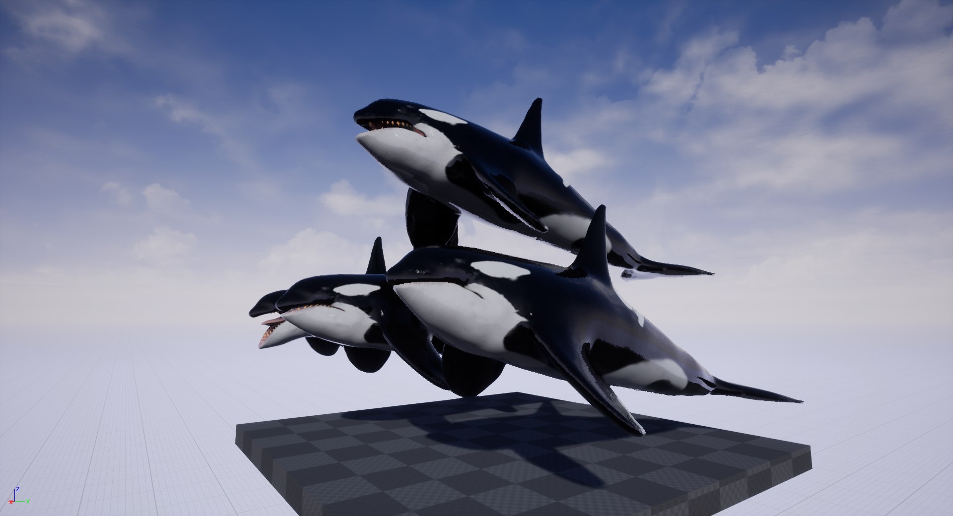 3D Killer Whale Unity Model - TurboSquid 1508053