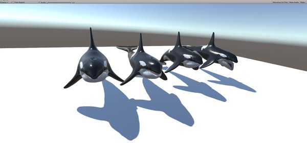 3D killer whale unity model - TurboSquid 1508053