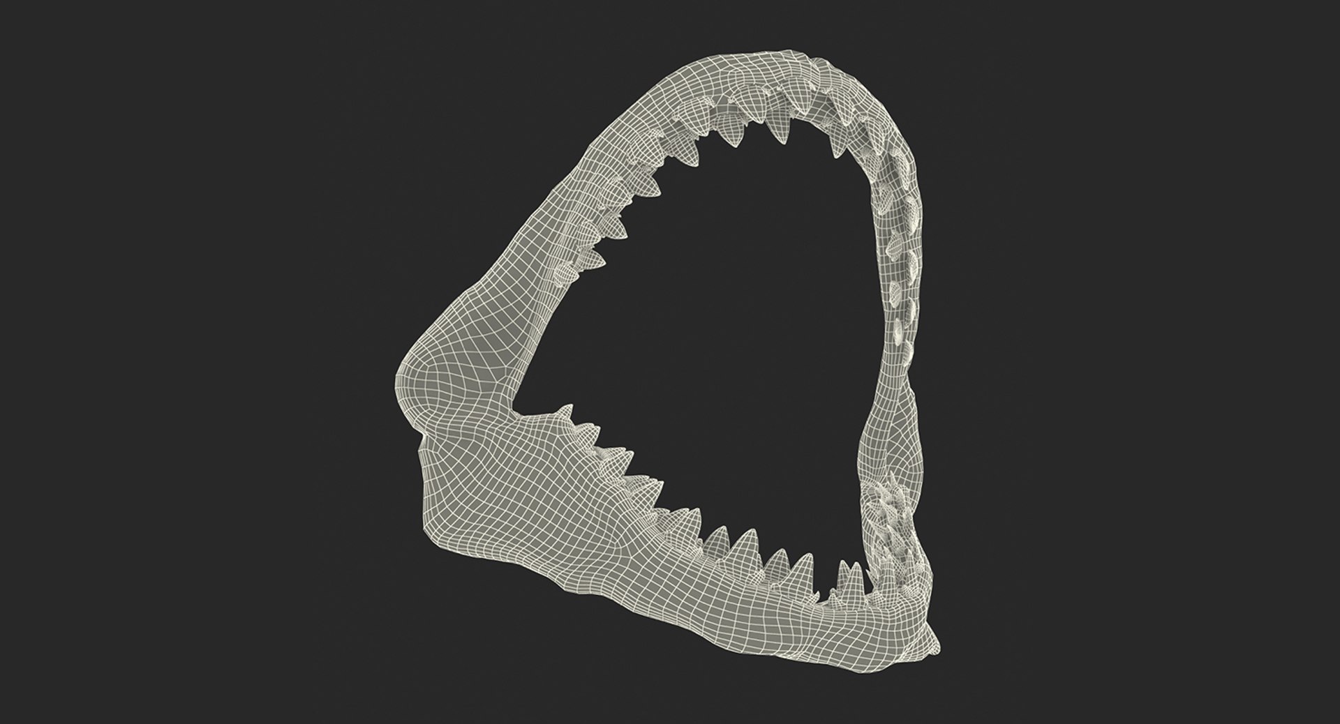 Shark teeth 2 3D model - TurboSquid 1418884