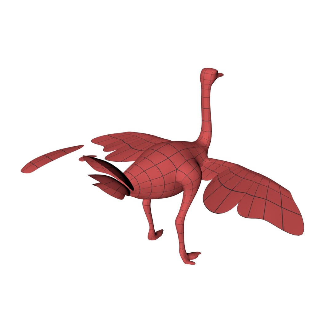 Base Mesh Ostrich 3d Model