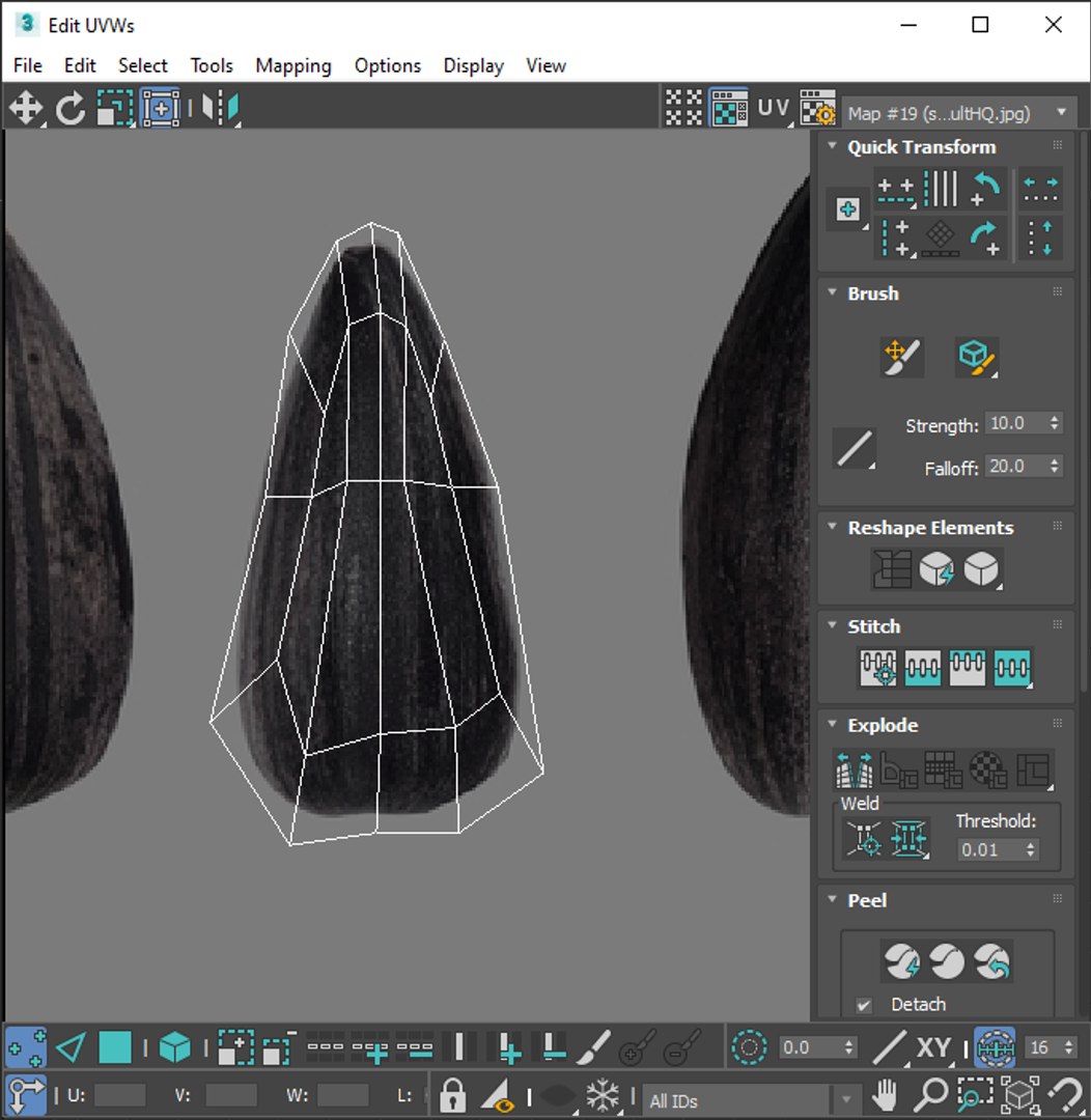 Sunflower Seeds Set 3D model - TurboSquid 1850797