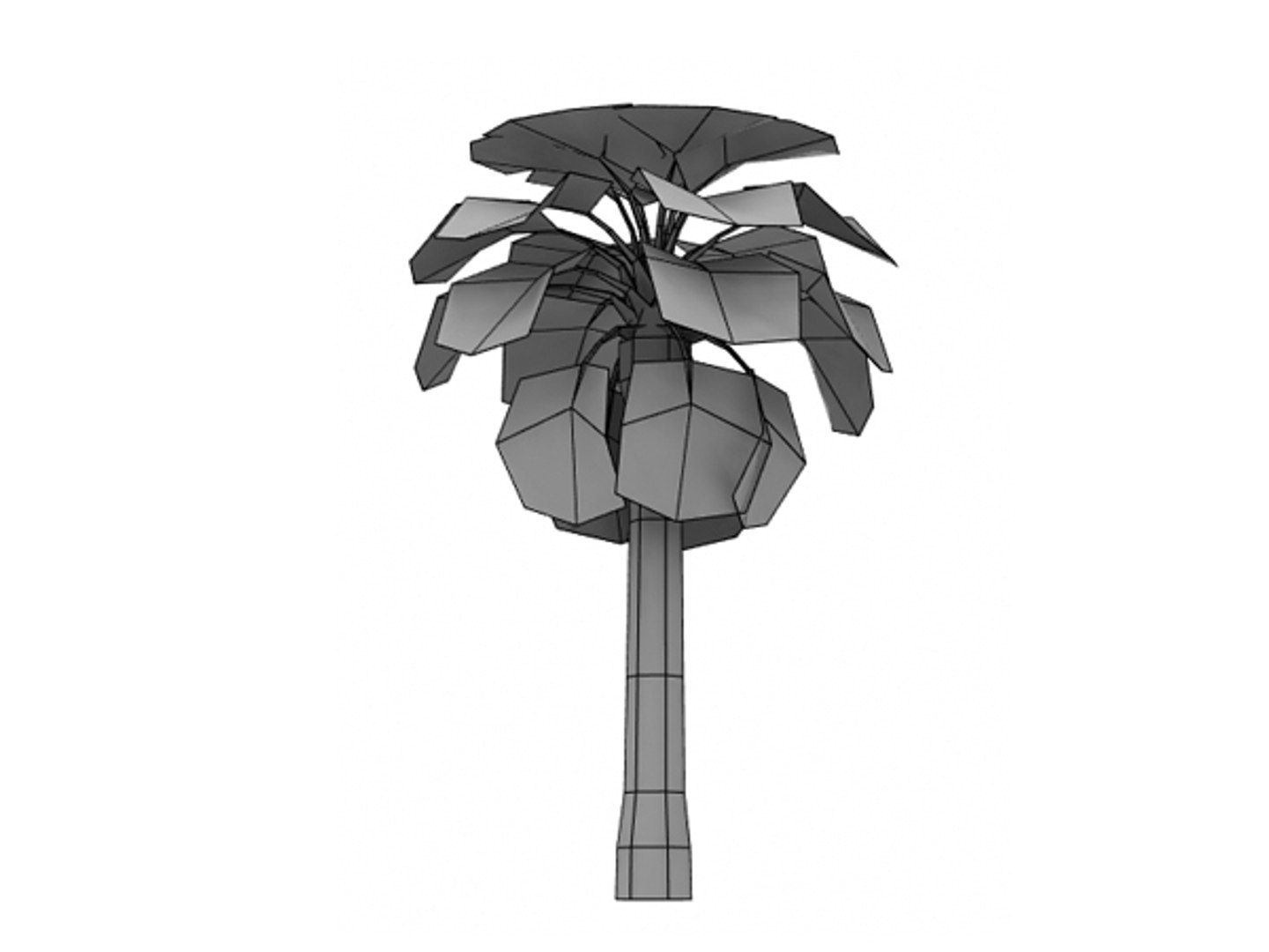 Palm Tree 3d Model