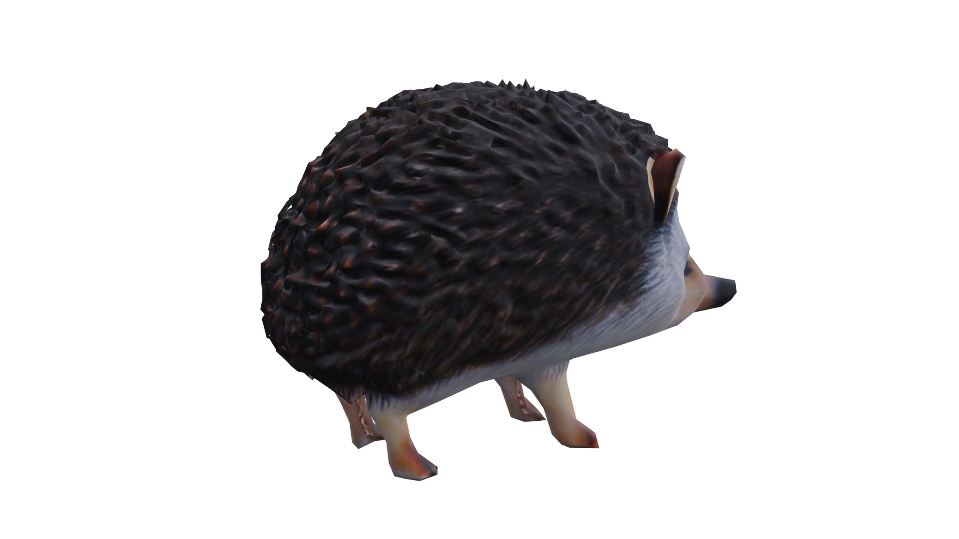 Hedgehog Low-poly Model - TurboSquid 2206872