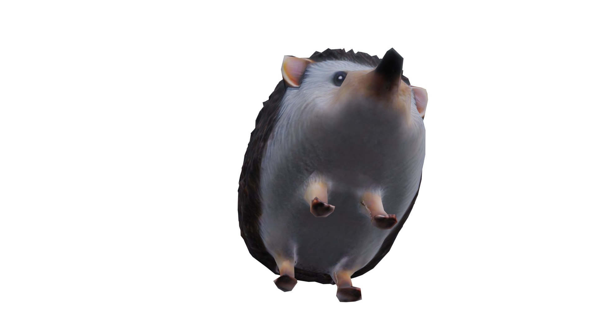 Hedgehog Low-poly Model - TurboSquid 2206872