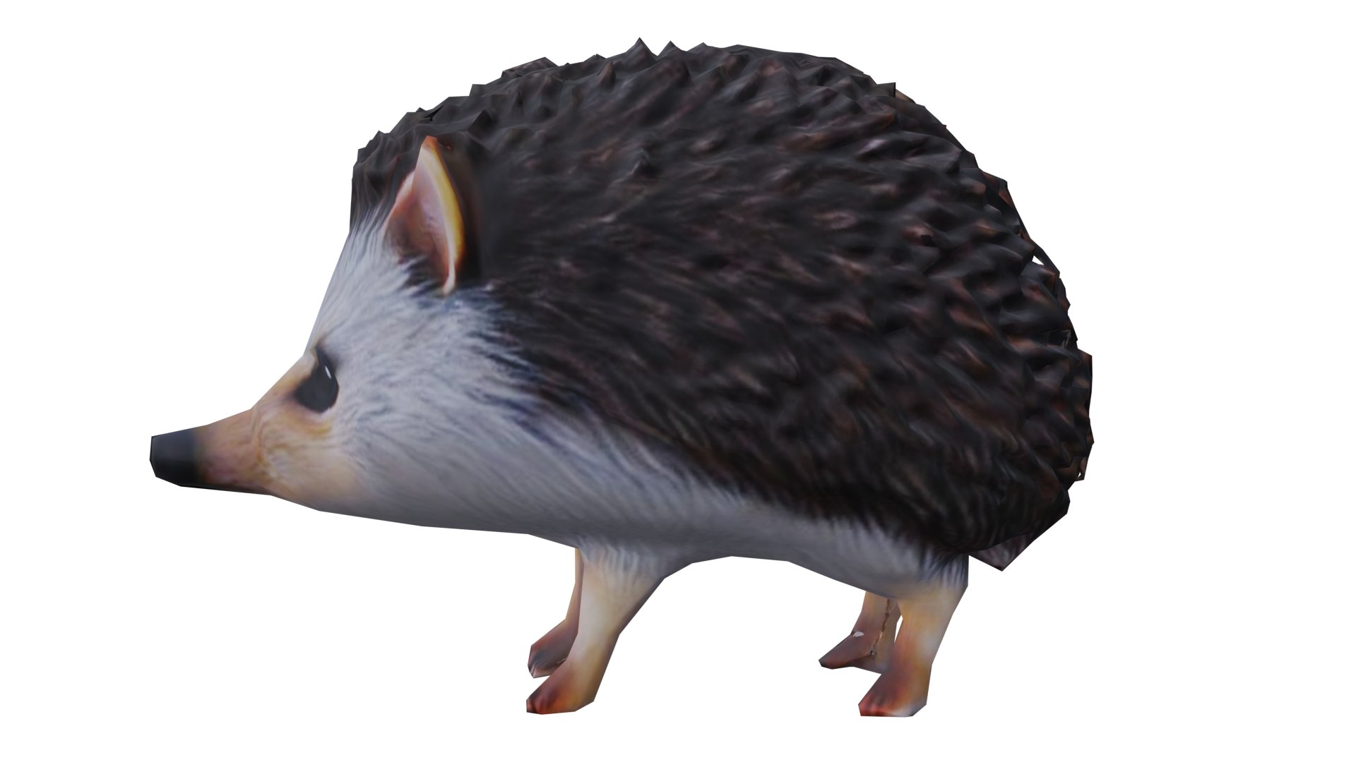 Hedgehog Low-poly Model - TurboSquid 2206872