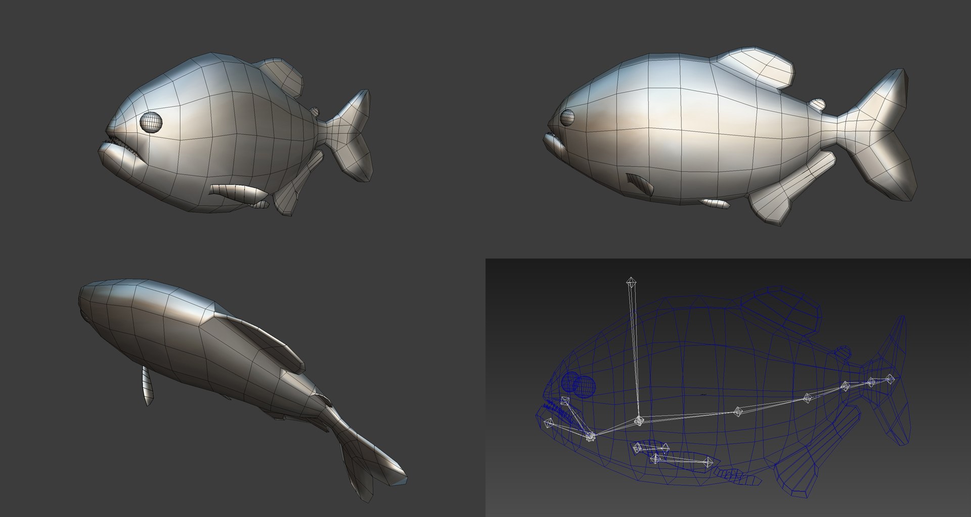 3D model fish illustration - 3 - TurboSquid 1331088