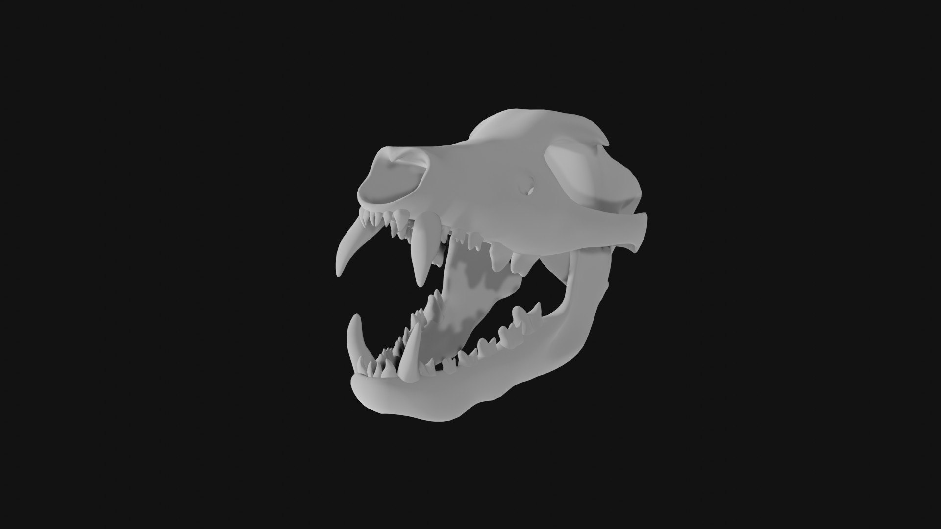 Wolf Skull 3D Model - TurboSquid 1978160