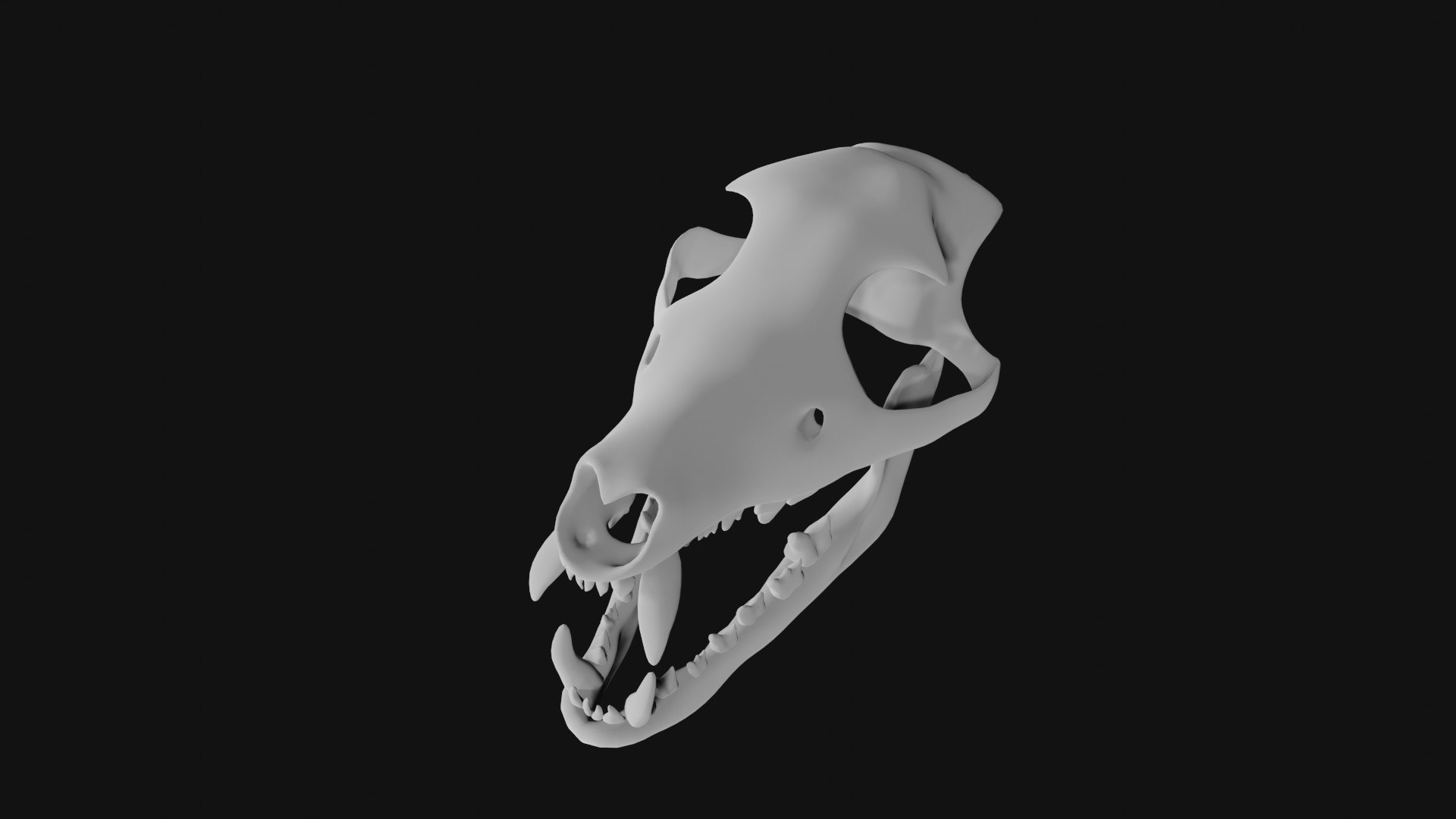 Wolf Skull 3D Model - TurboSquid 1978160