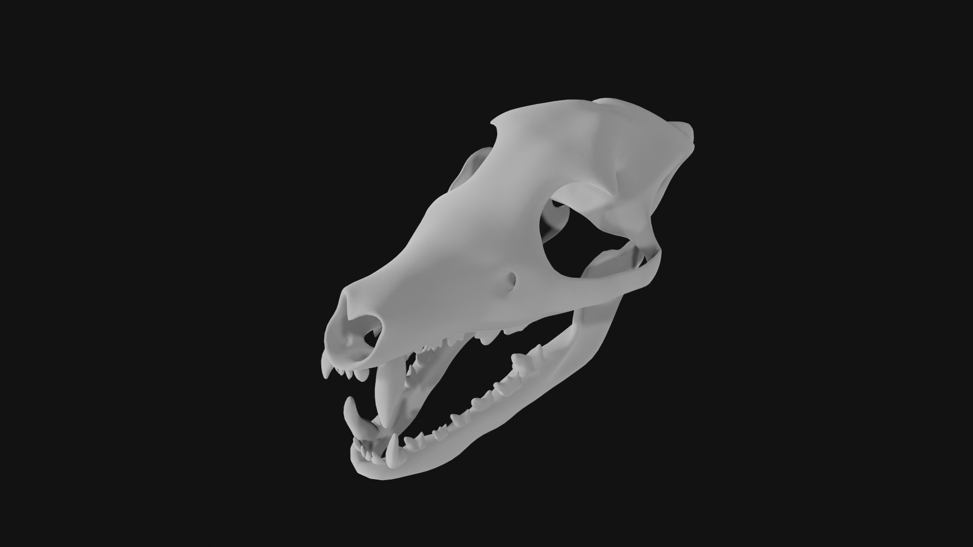 Wolf Skull 3D Model - TurboSquid 1978160