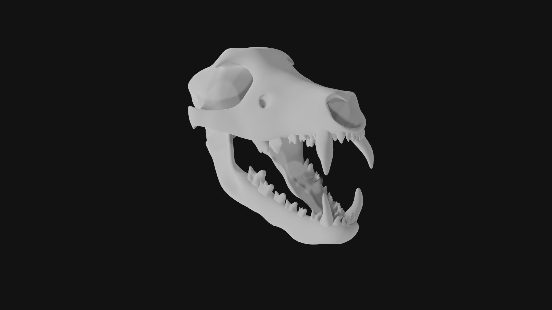 Wolf Skull 3D Model - TurboSquid 1978160