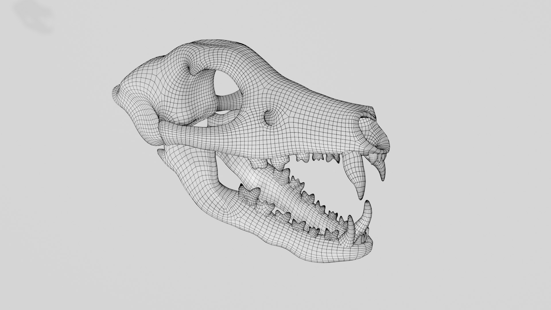 Wolf Skull 3D Model - TurboSquid 1978160