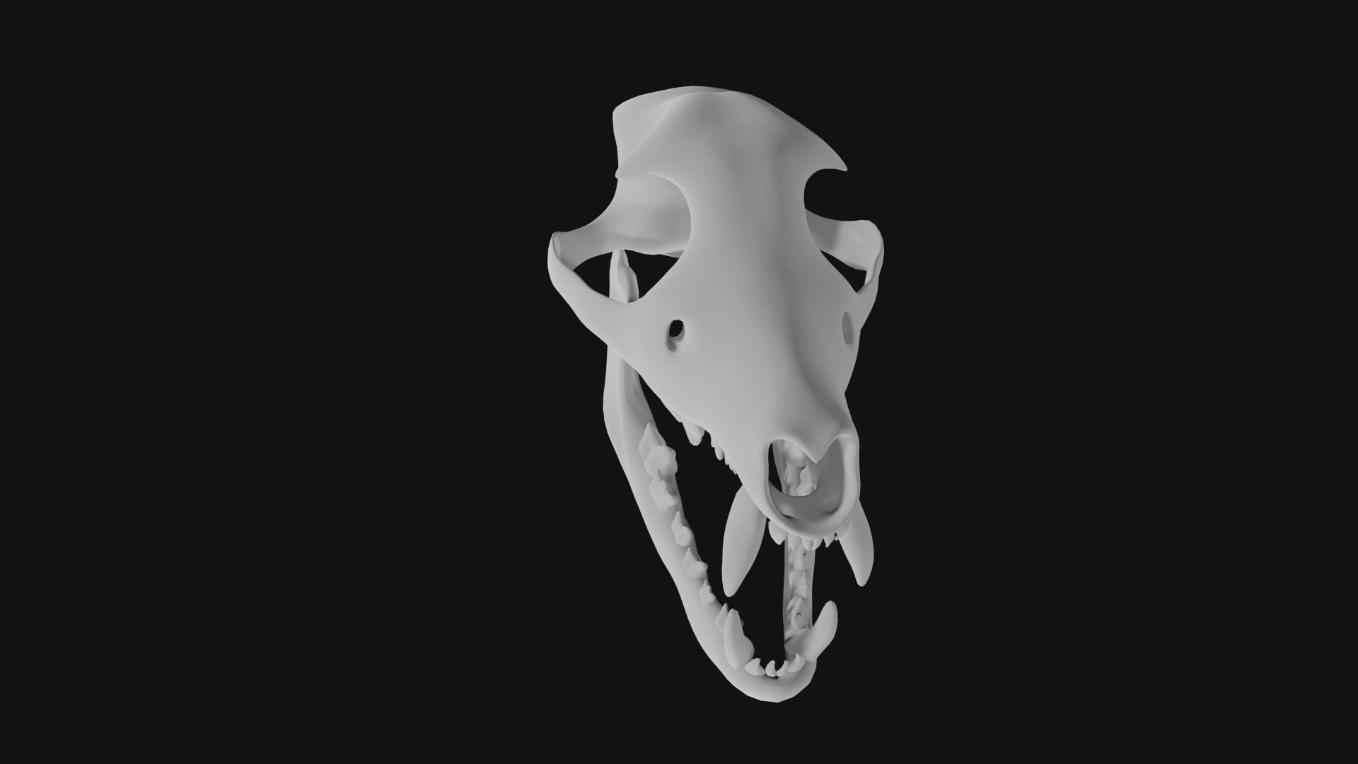 Wolf Skull 3D Model - TurboSquid 1978160