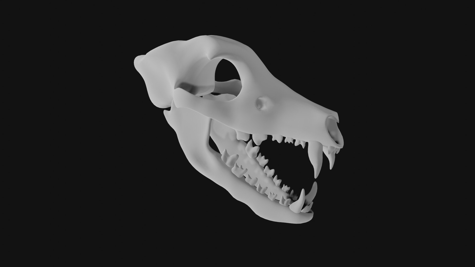 Wolf Skull 3D Model - TurboSquid 1978160