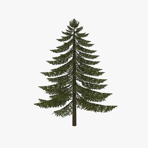 Fir Tree Blender Models for Download | TurboSquid