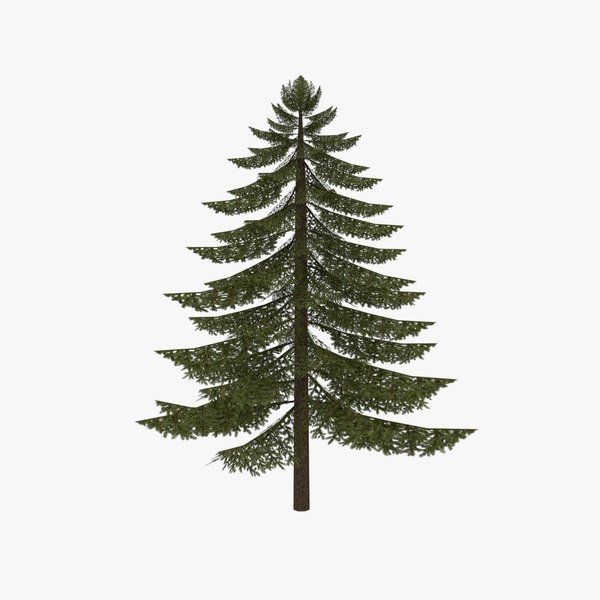 Tree Taiga 3D Models for Download | TurboSquid