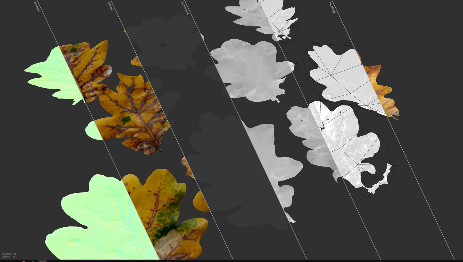 Low-poly Autumn Oak Leaves 3D Model - TurboSquid 2295281