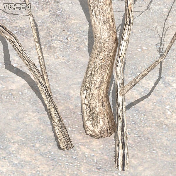 tree afghanistan c4d