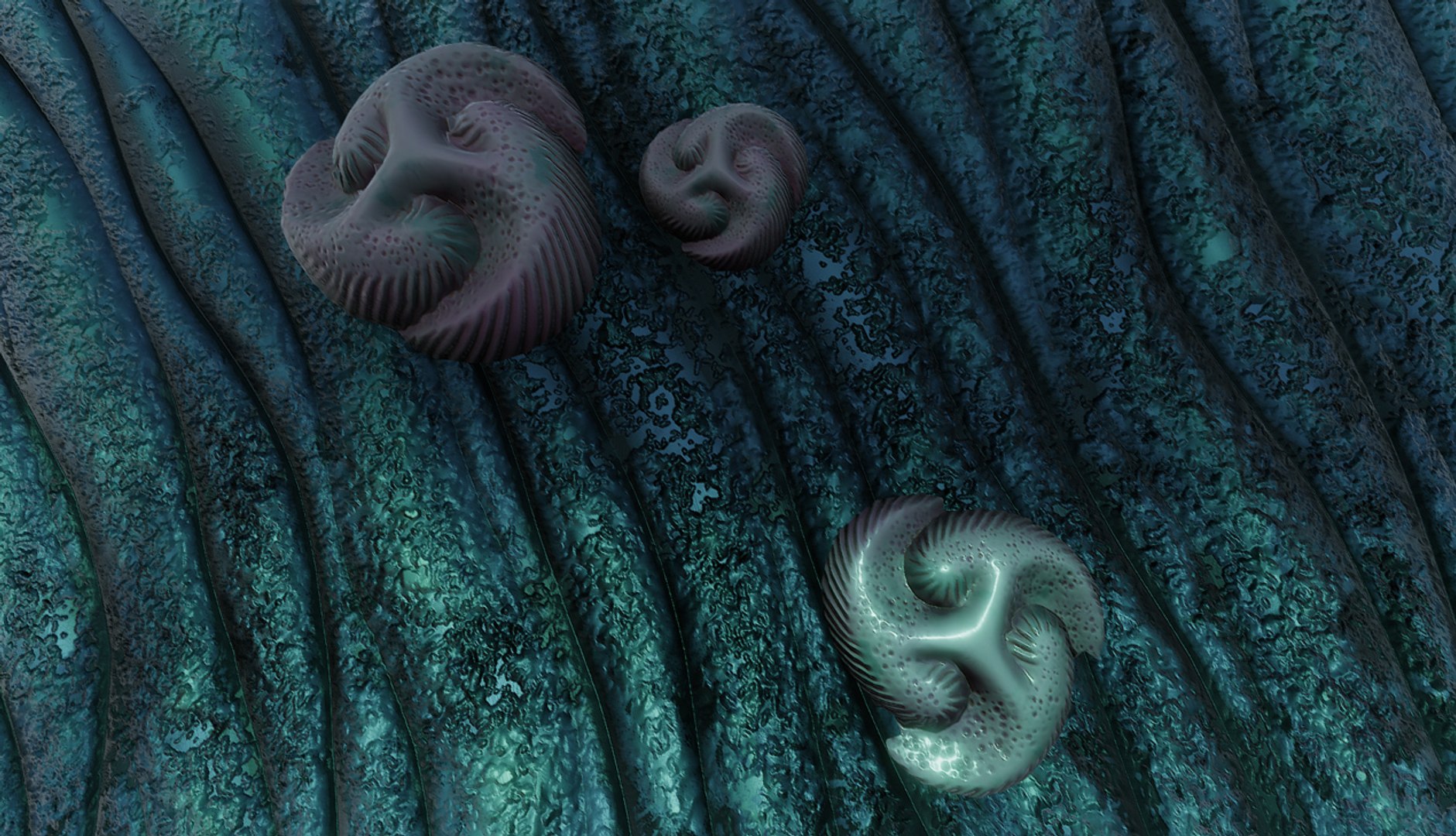 Tribrachidium 3D Model - TurboSquid 1334382