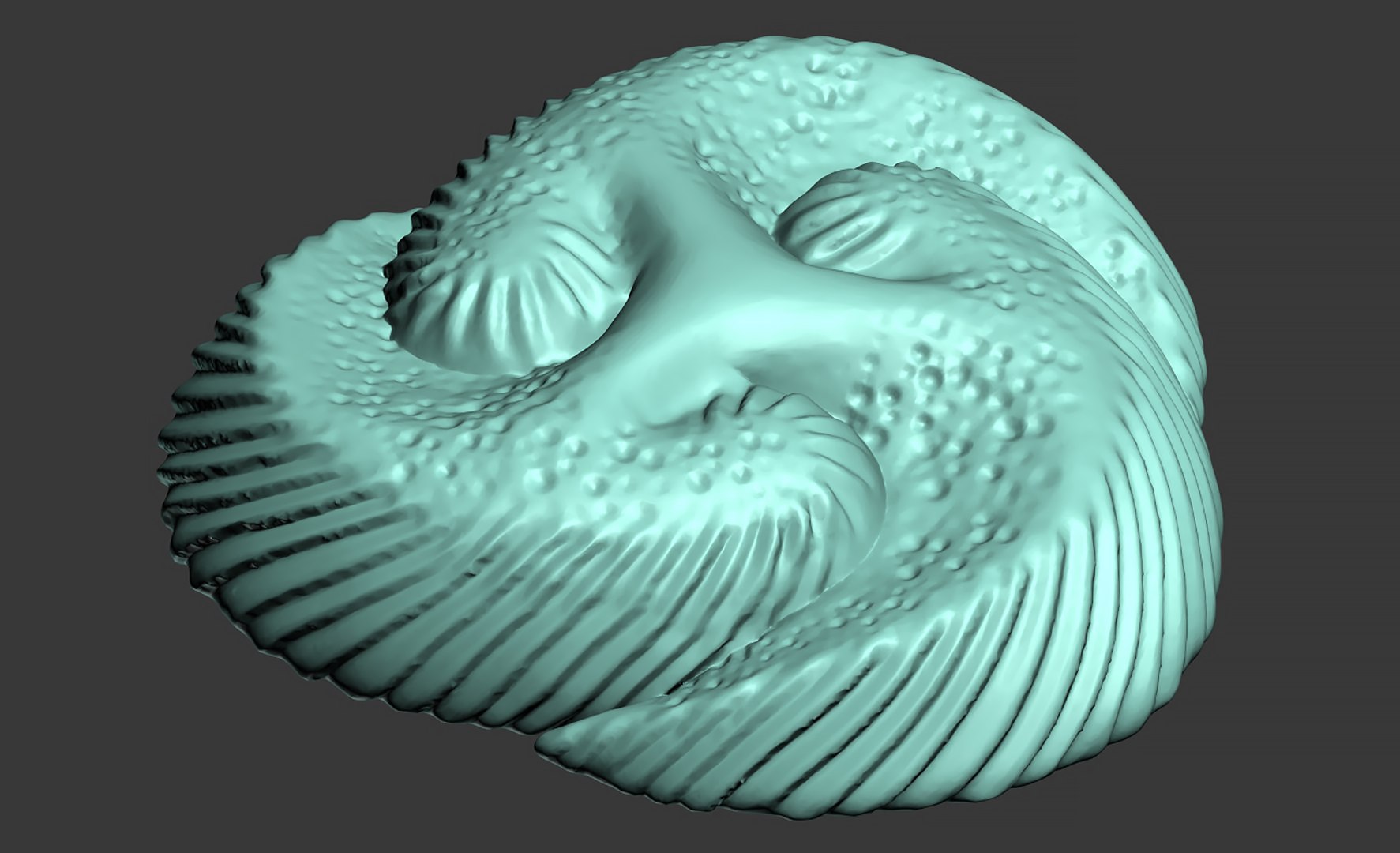 Tribrachidium 3D Model - TurboSquid 1334382