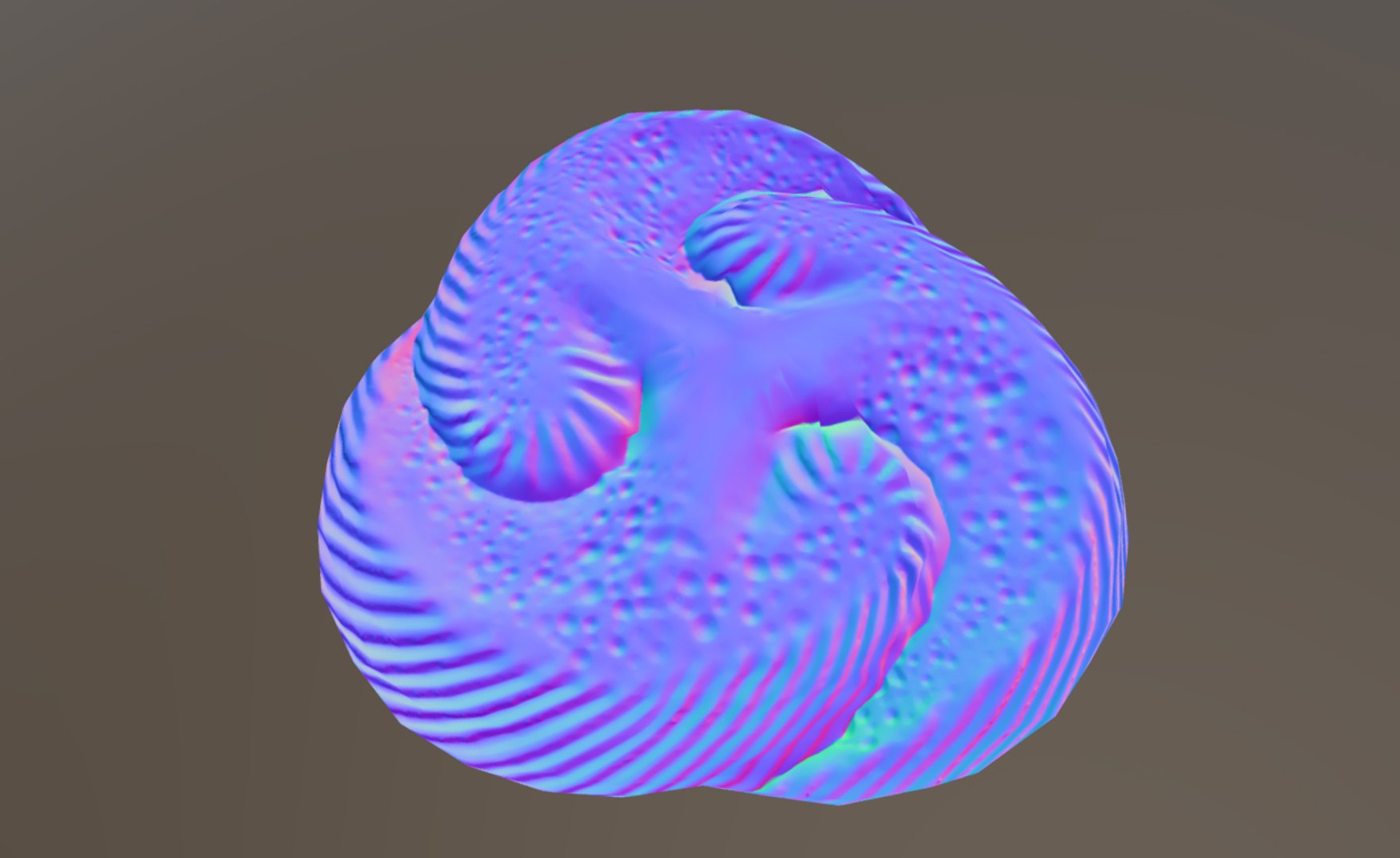 Tribrachidium 3D Model - TurboSquid 1334382