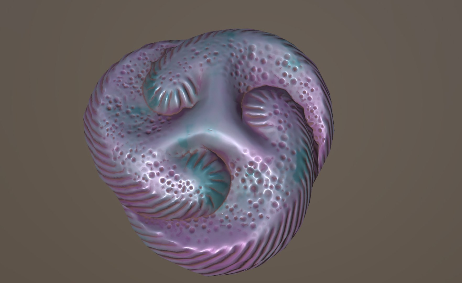 Tribrachidium 3D Model - TurboSquid 1334382