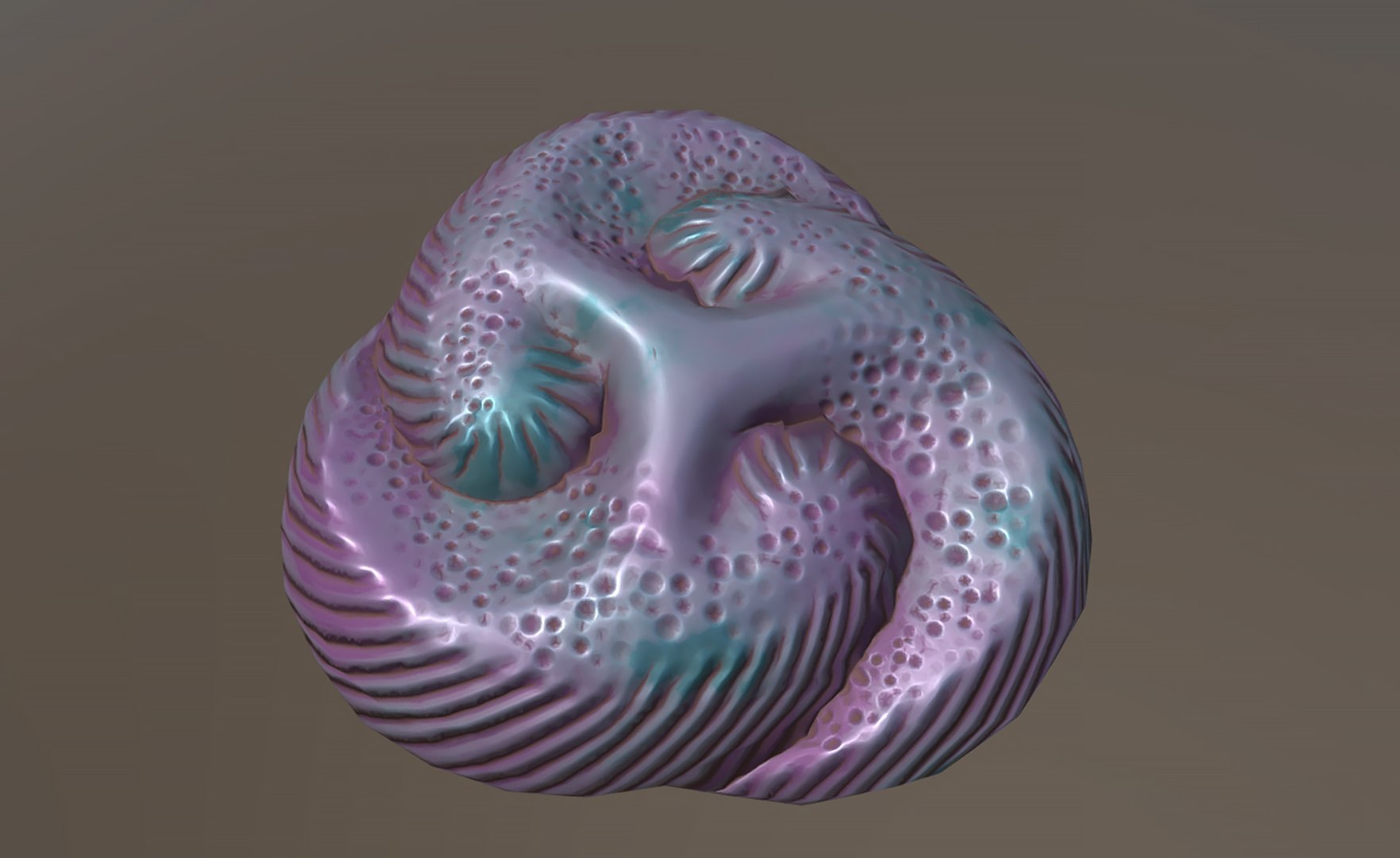 Tribrachidium 3D Model - TurboSquid 1334382