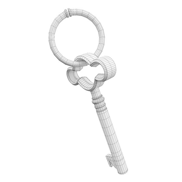 Skeleton key 3D model - TurboSquid 1982392