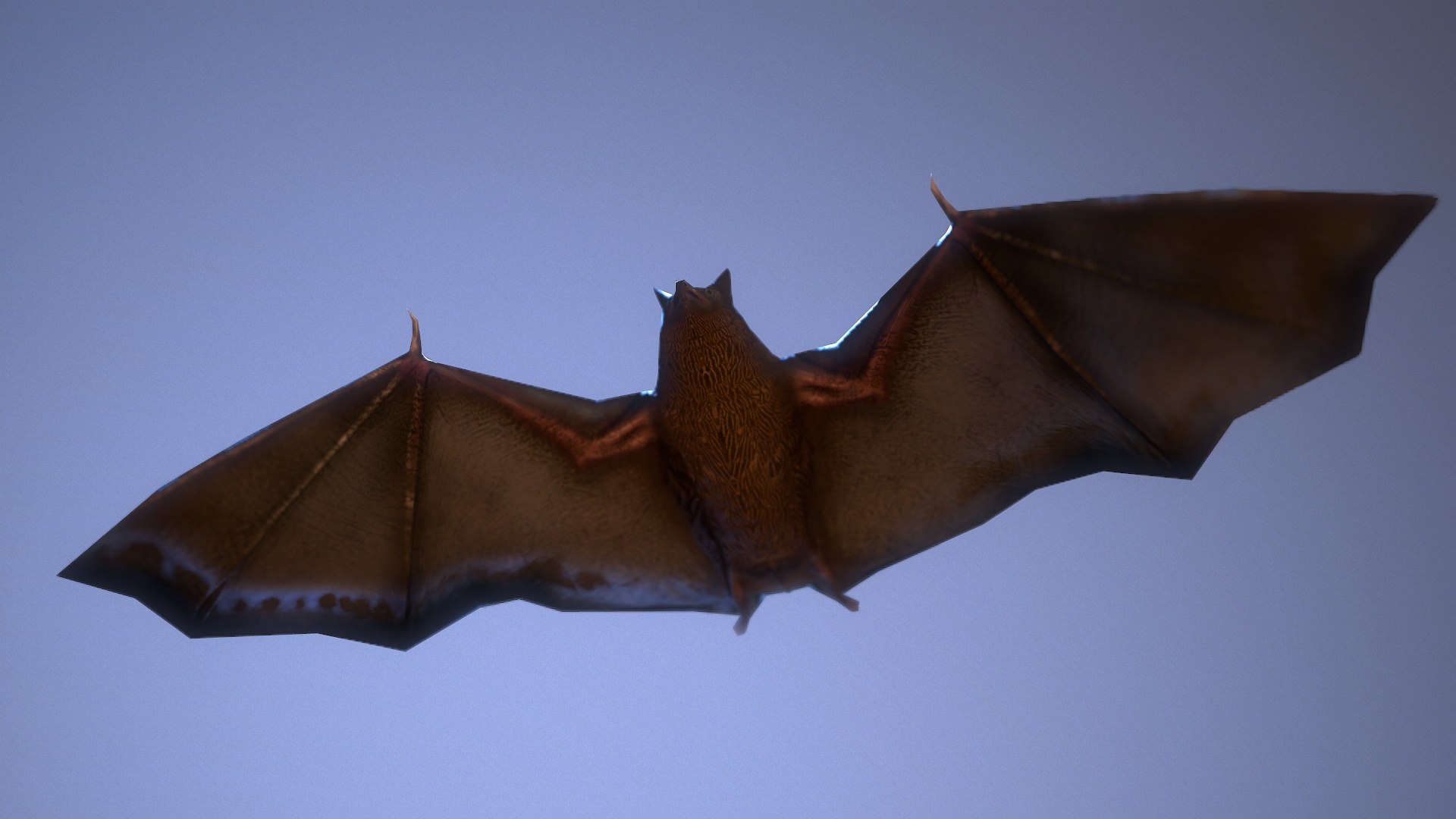 Bat Animation Pbr Low-poly 3D - TurboSquid 1723301