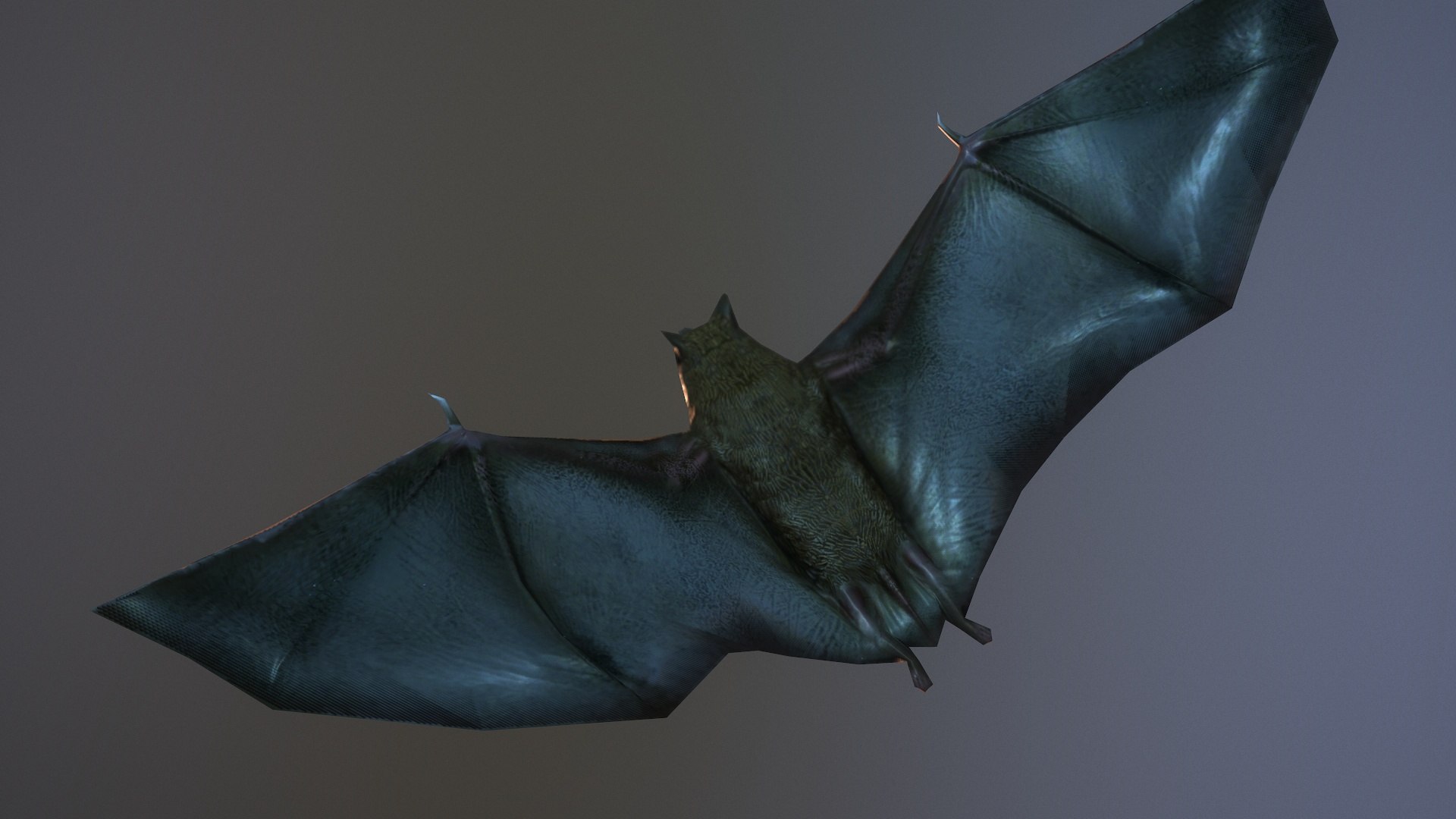 Bat Animation Pbr Low-poly 3D - TurboSquid 1723301