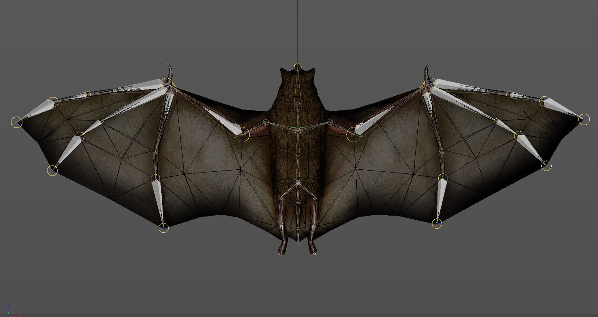 Bat Animation Pbr Low-poly 3D - TurboSquid 1723301