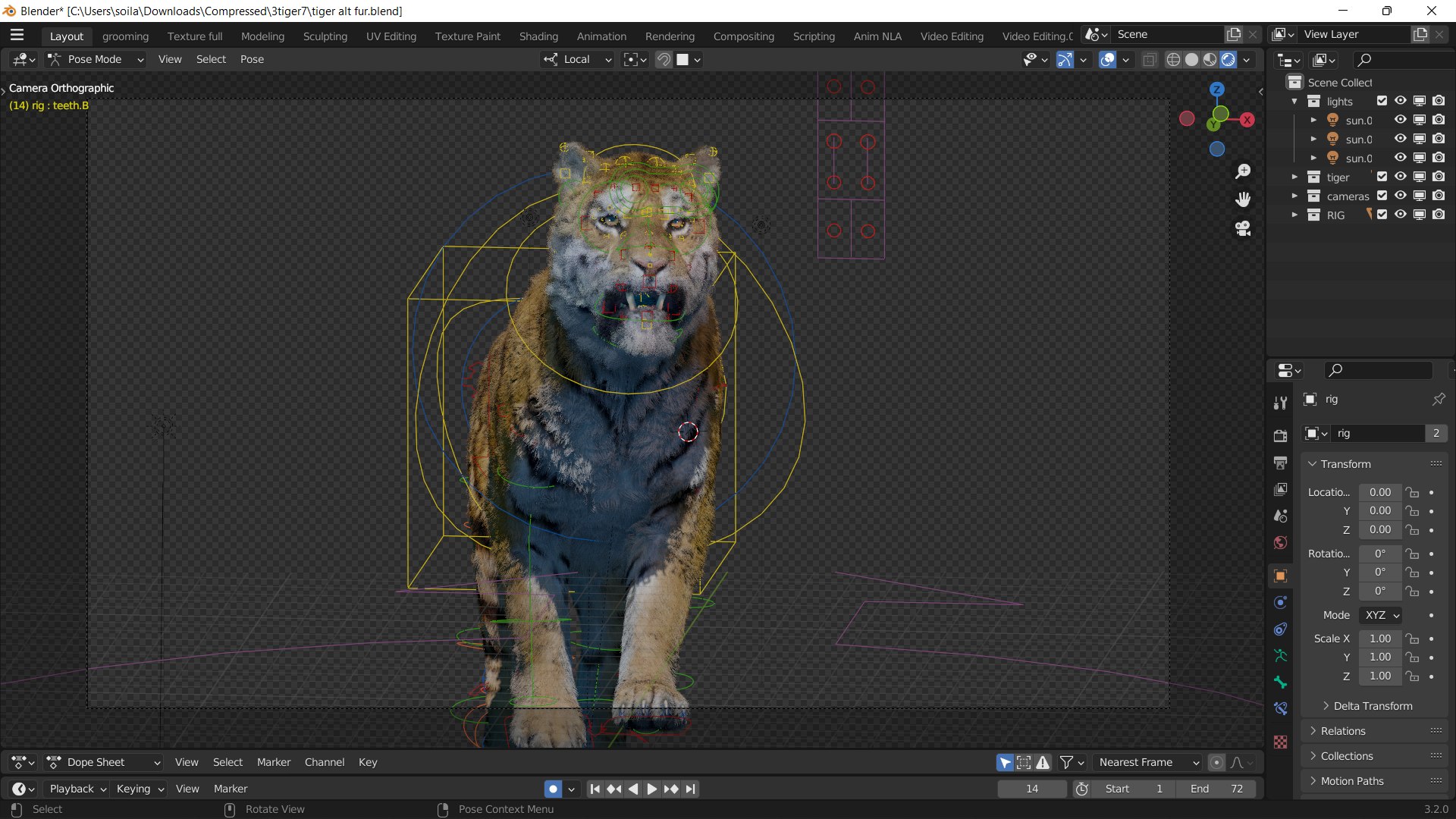 Realistic Tiger Rigged And Animated Model- Blender 3D - TurboSquid 1930594