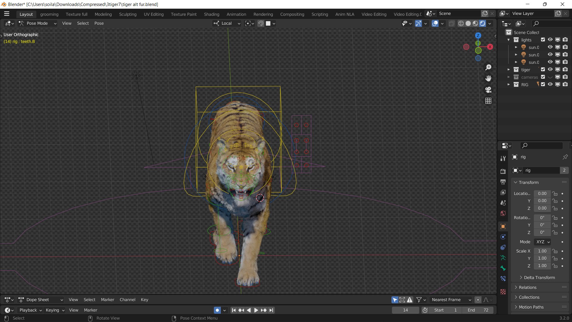 Realistic Tiger Rigged And Animated Model- Blender 3D - TurboSquid 1930594