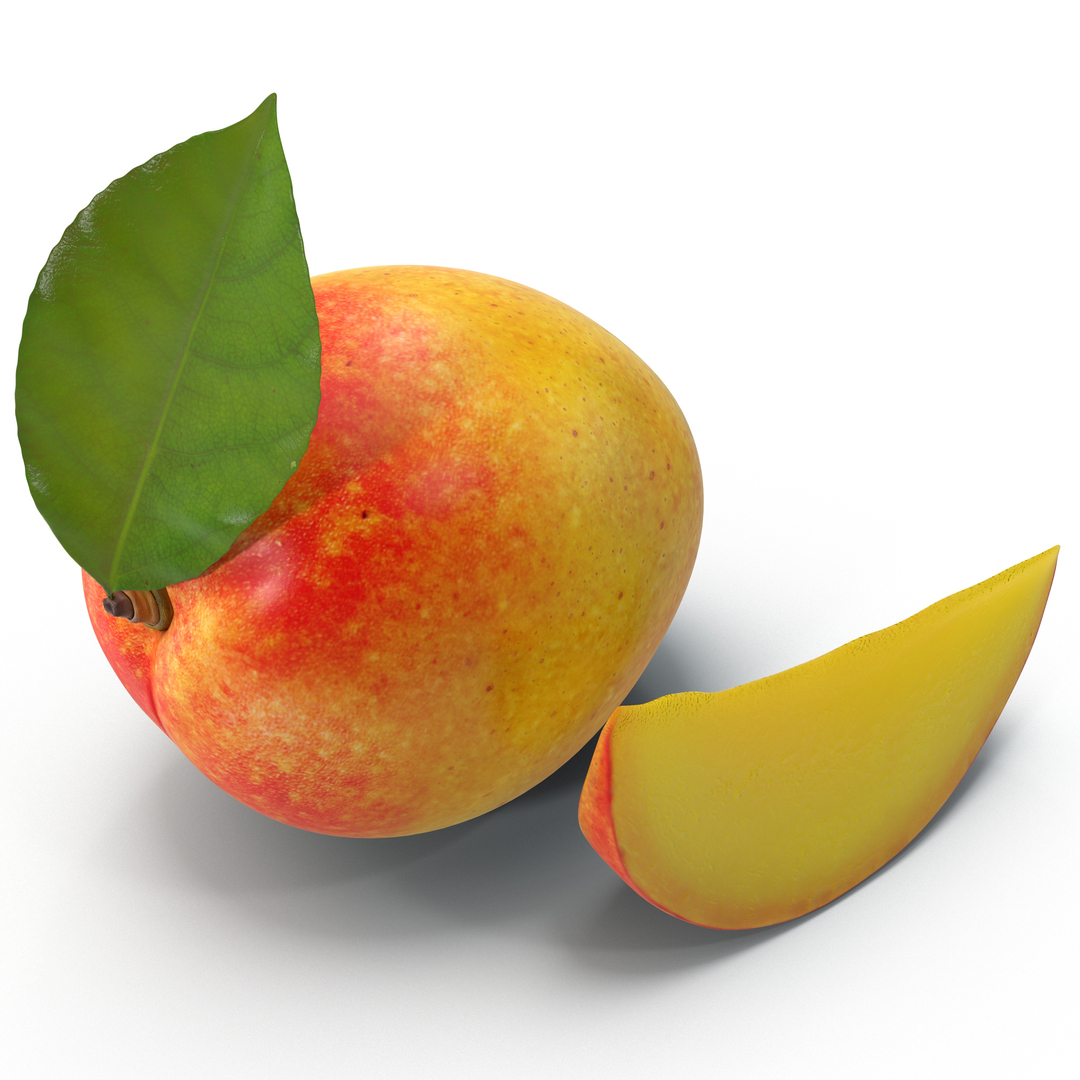 mango 3 3d model
