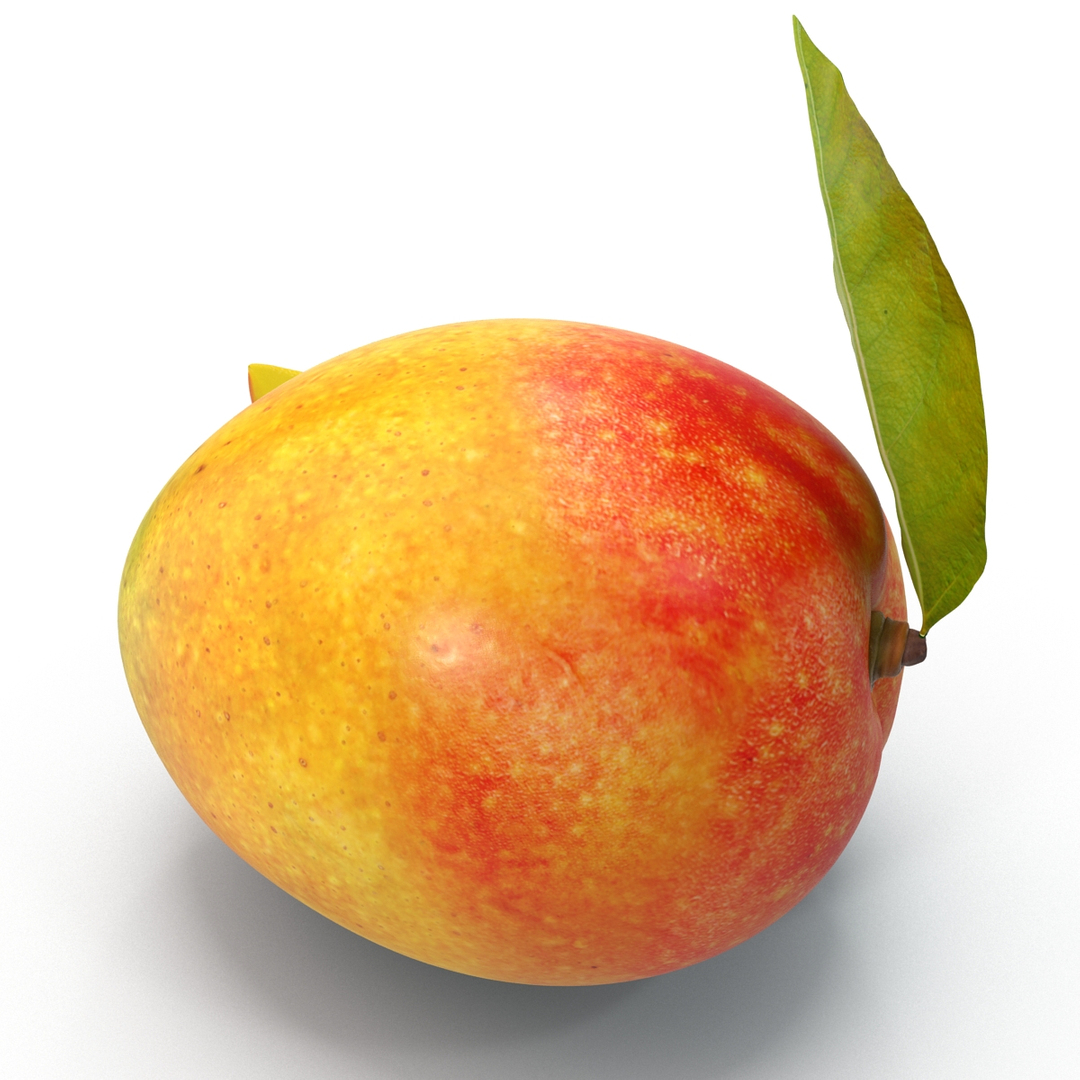 mango 3 3d model