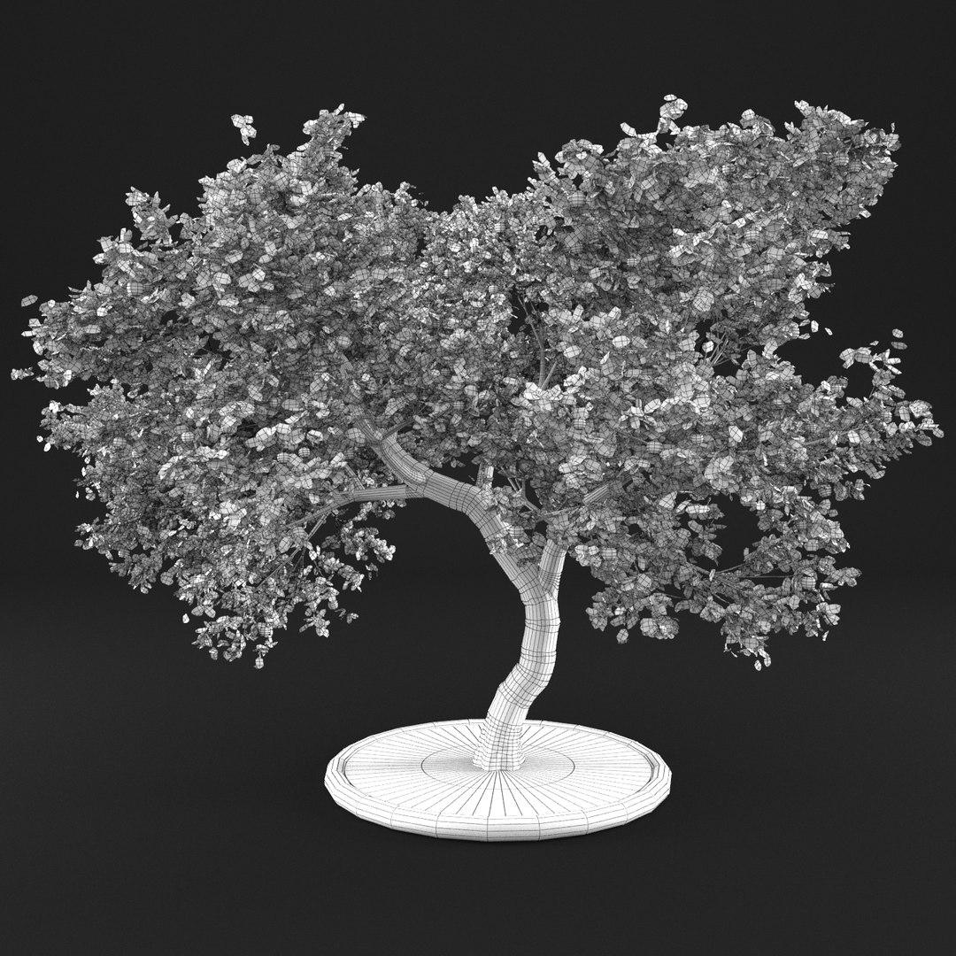 3D Apple Tree Model - TurboSquid 1159243