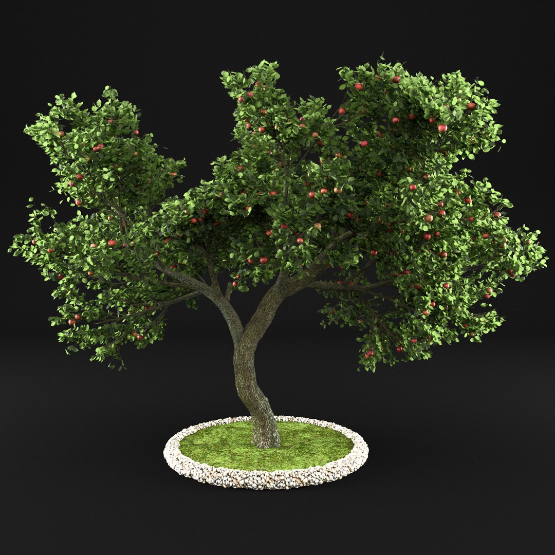 3D Apple Tree Model - TurboSquid 1159243