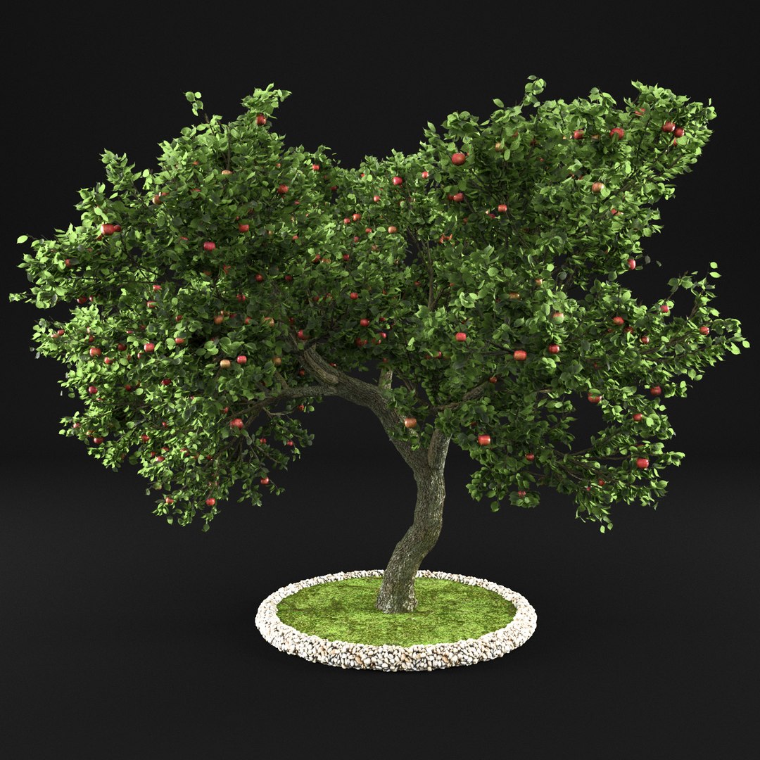 3D Apple Tree Model - TurboSquid 1159243