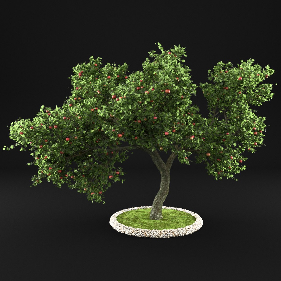3D Apple Tree Model - TurboSquid 1159243