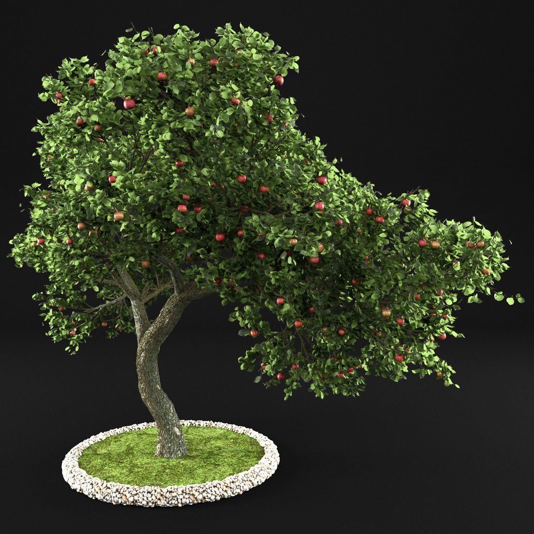 3D Apple Tree Model - TurboSquid 1159243