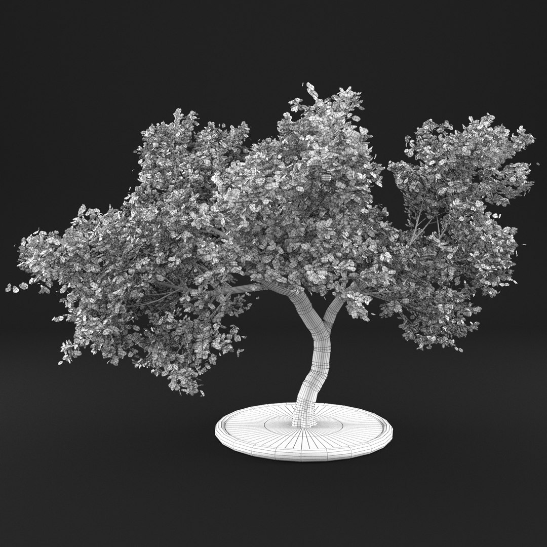3D Apple Tree Model - TurboSquid 1159243