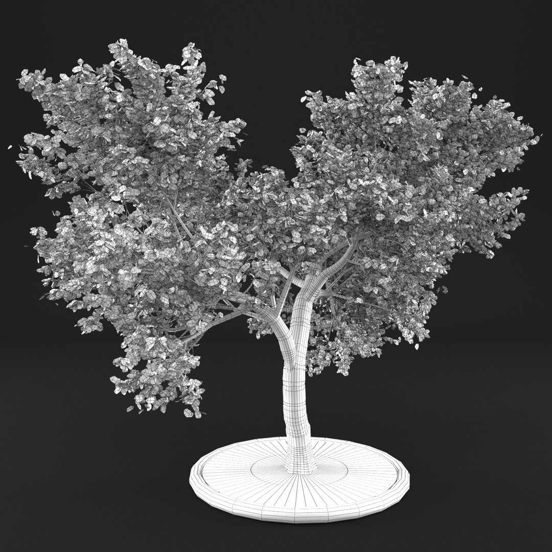 3D Apple Tree Model - TurboSquid 1159243