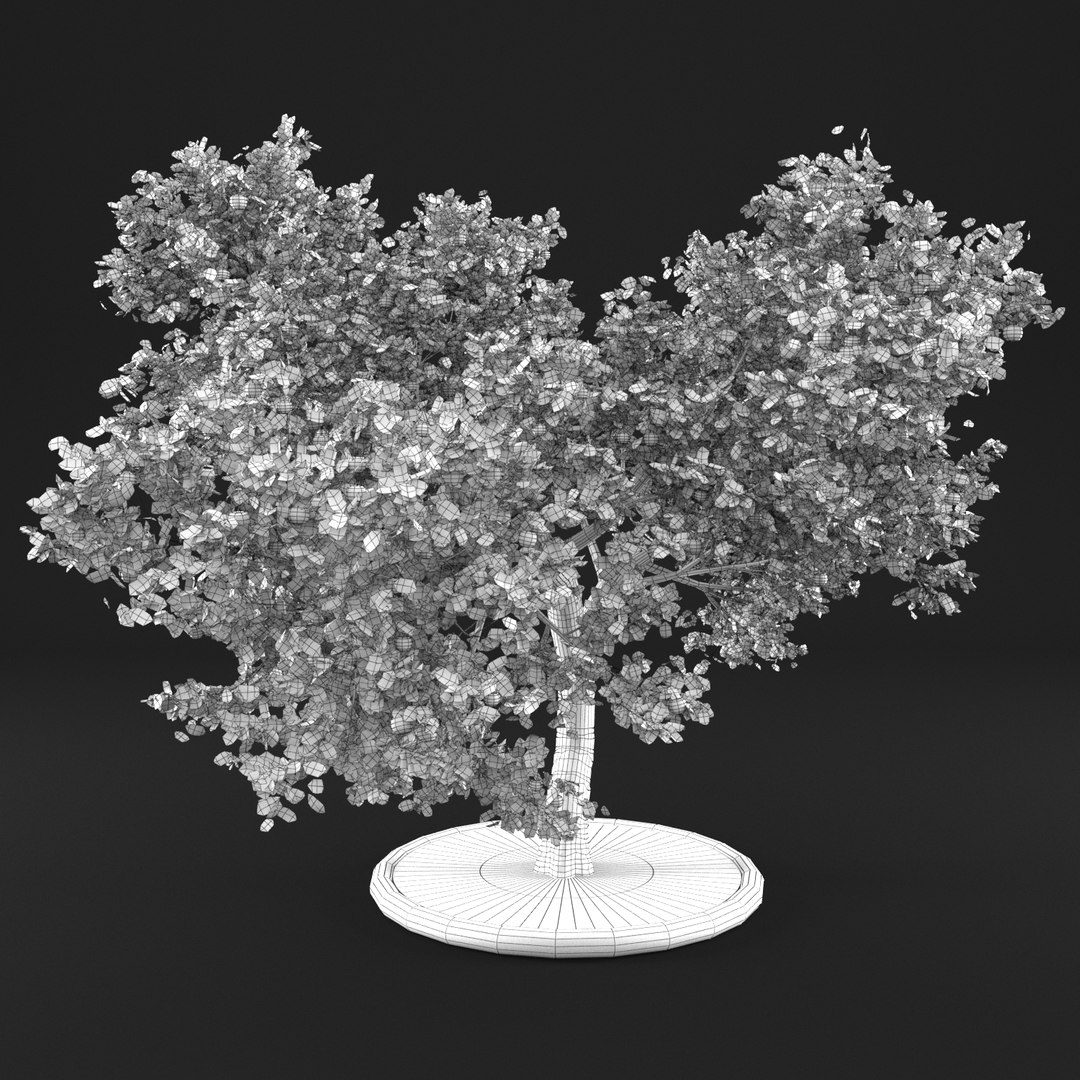 3D Apple Tree Model - TurboSquid 1159243