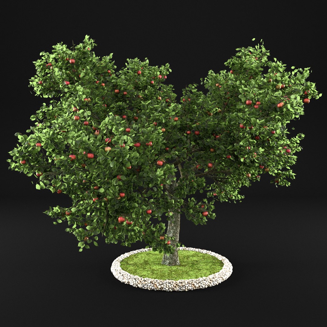 3D Apple Tree Model - TurboSquid 1159243