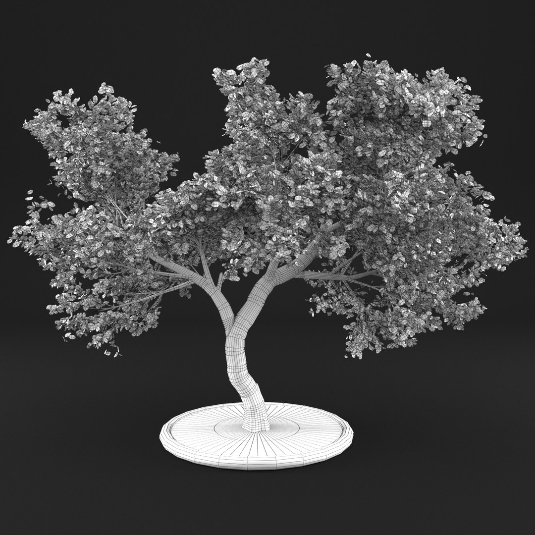 3D Apple Tree Model - TurboSquid 1159243