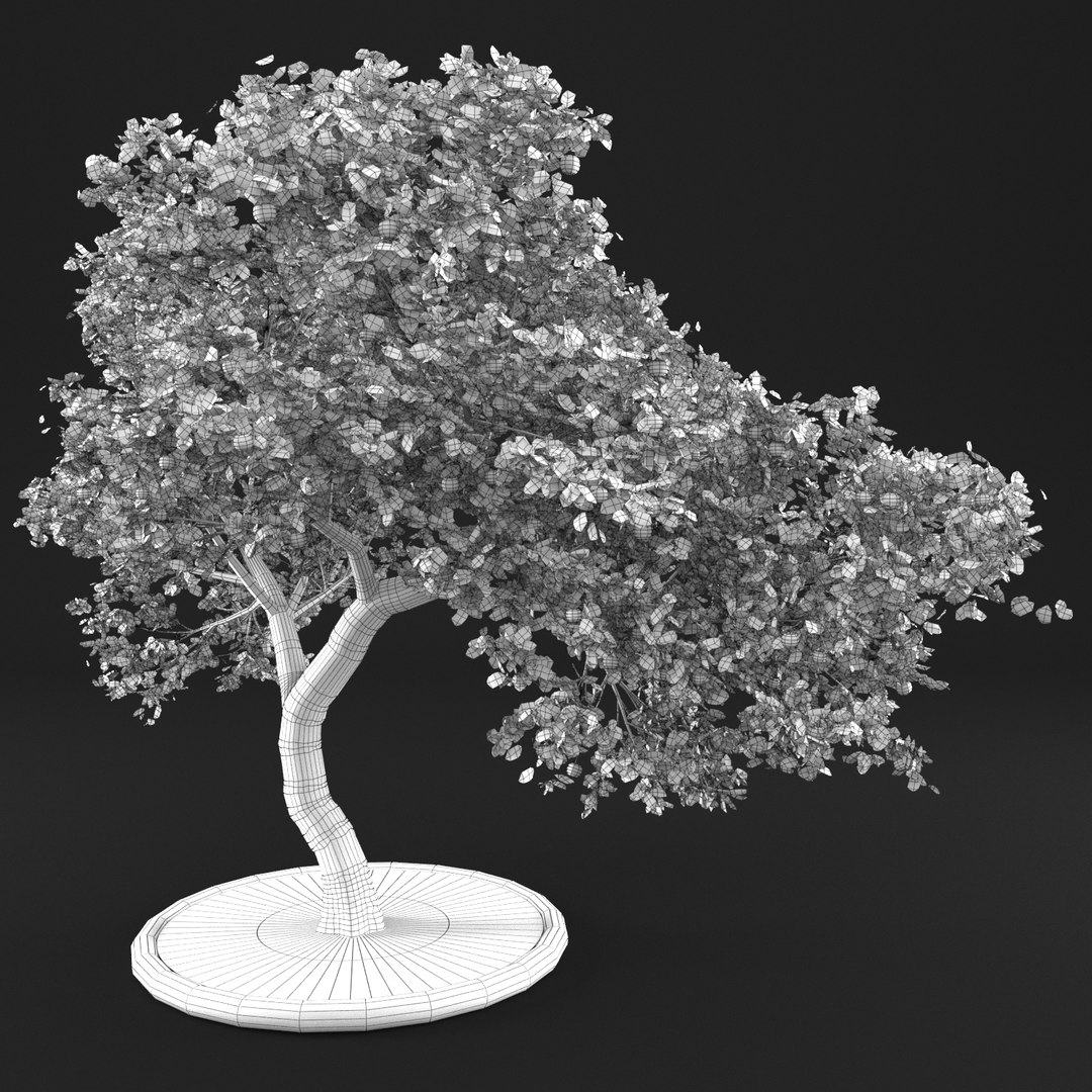 3D Apple Tree Model - TurboSquid 1159243