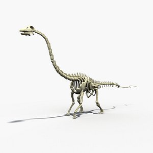 3D Diplodocus Skeleton Models - Browse & Download Formats - TurboSquid