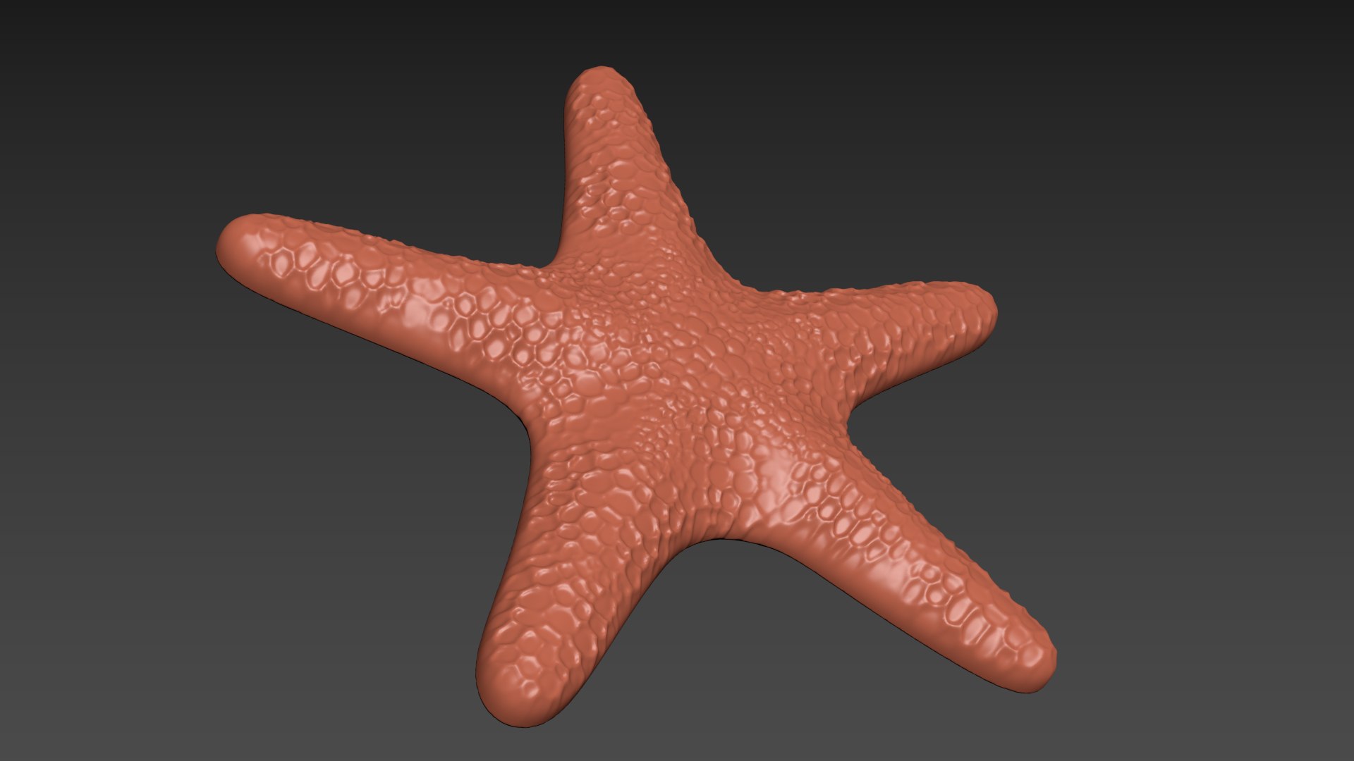 Starfish Echinoderm Sea Star 3D Model - TurboSquid 2384329